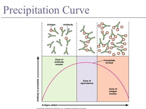 Home [immunological-analaysis-technique-95.webself.net]